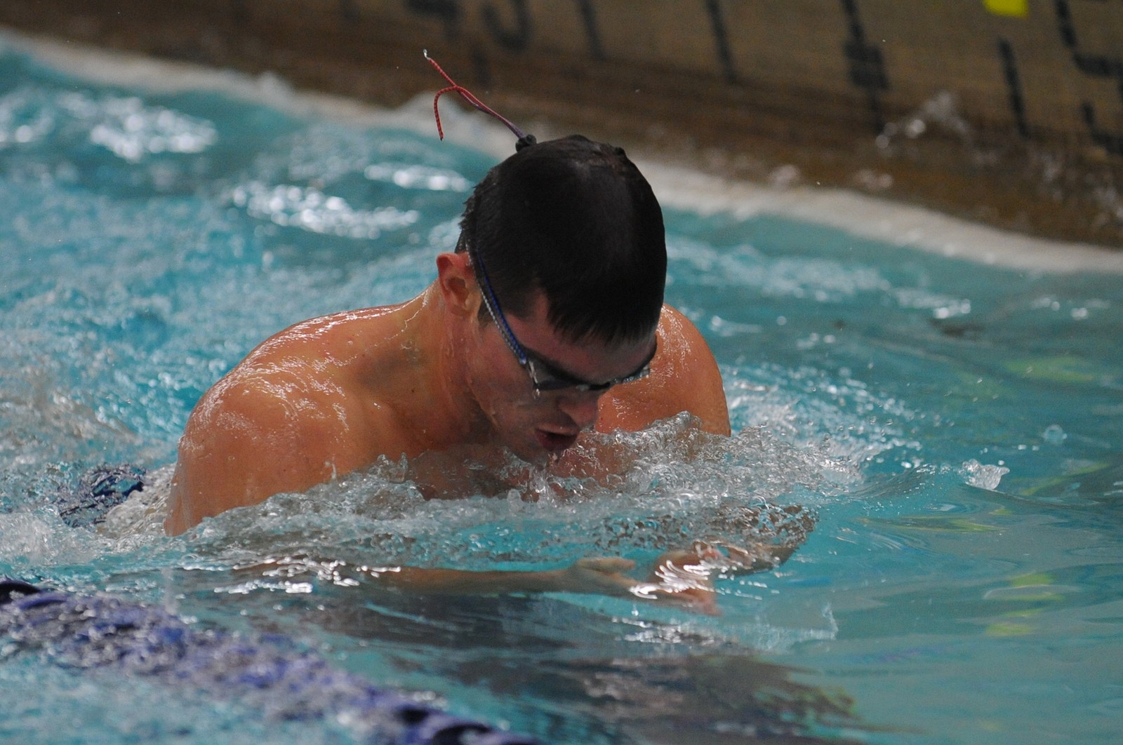 Colton Walsh - Men's Swimming & Diving - Maritime College Athletics