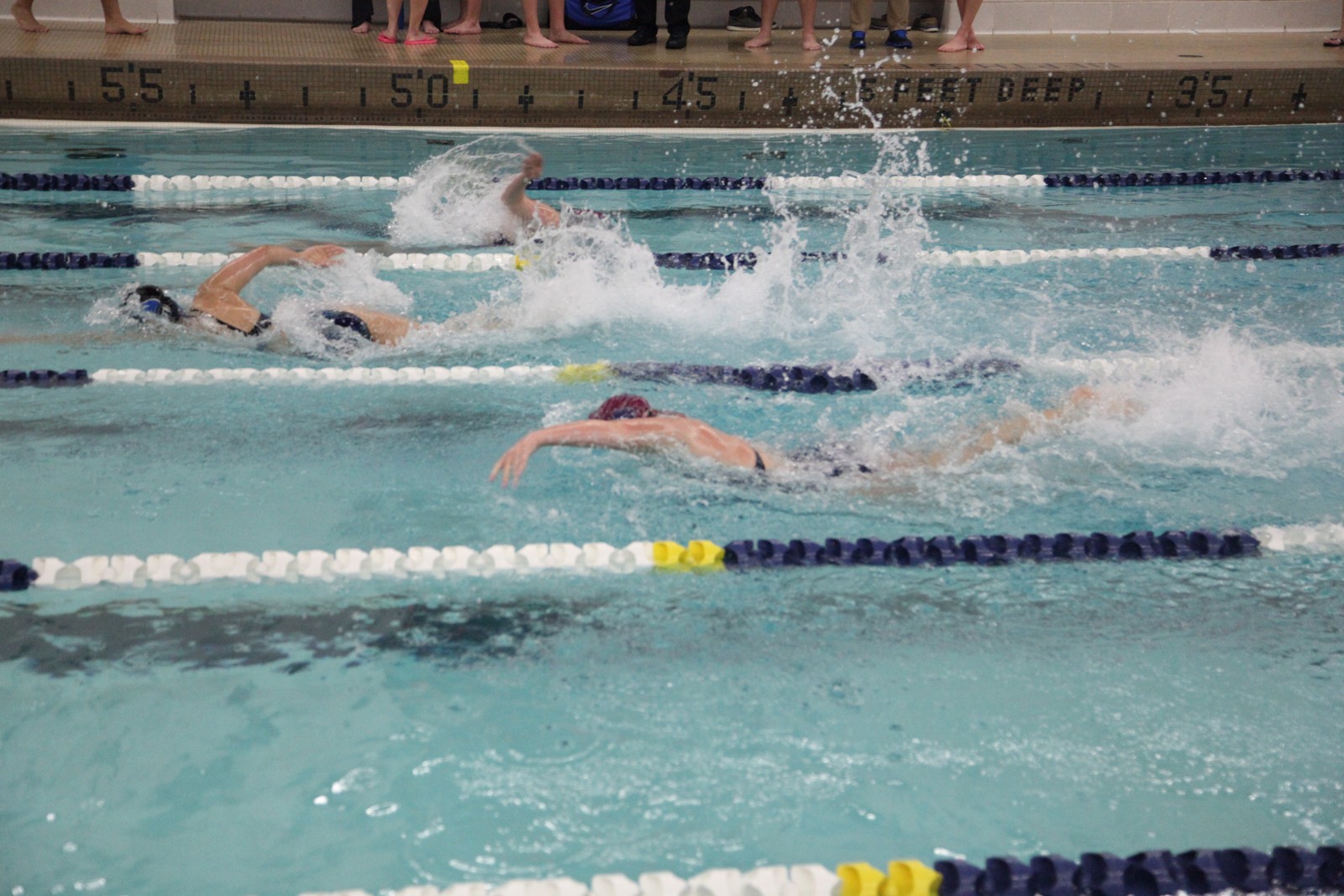 Grace Stanton - Women's Swimming & Diving - Maritime College Athletics