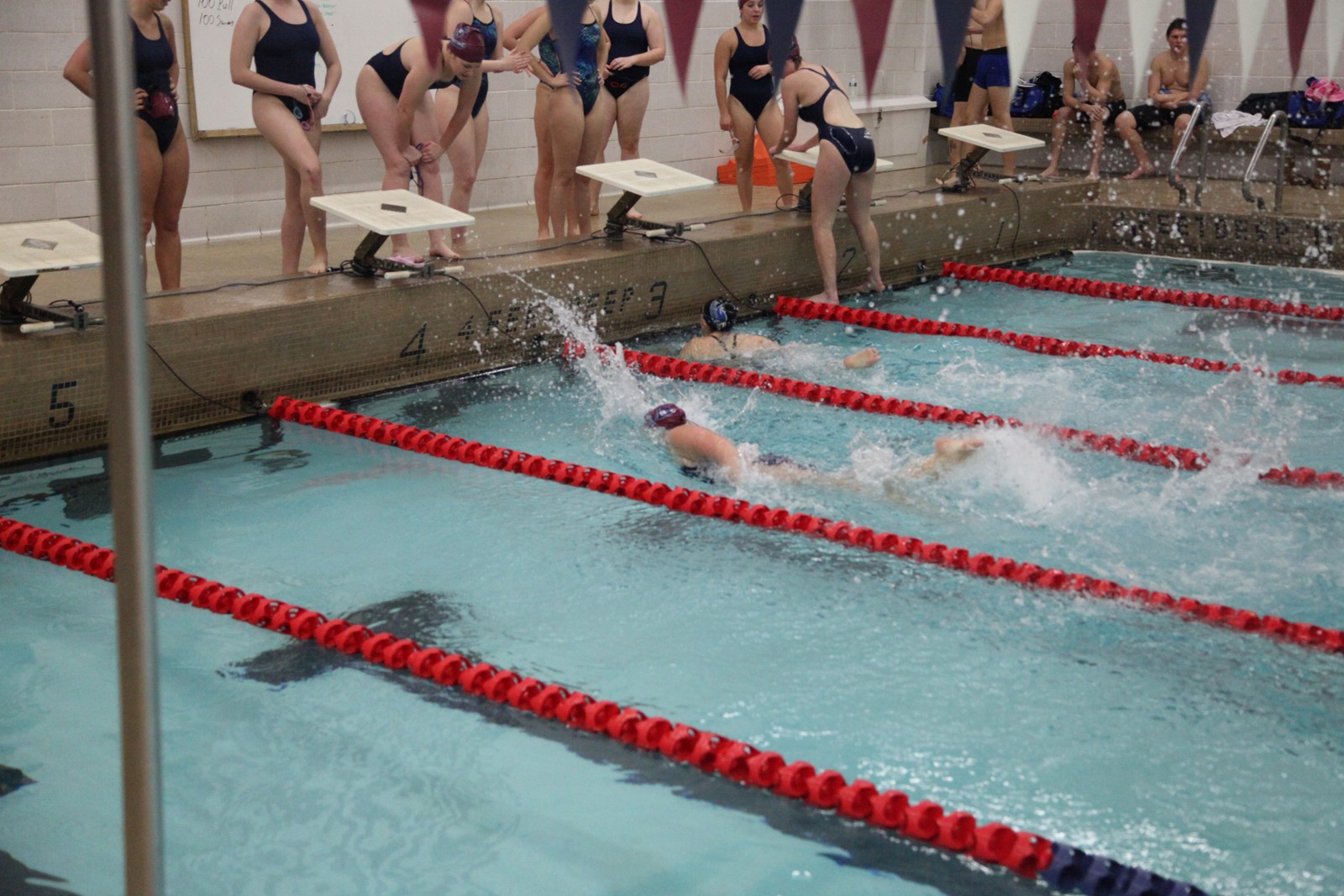 Grace Stanton - Women's Swimming & Diving - Maritime College Athletics