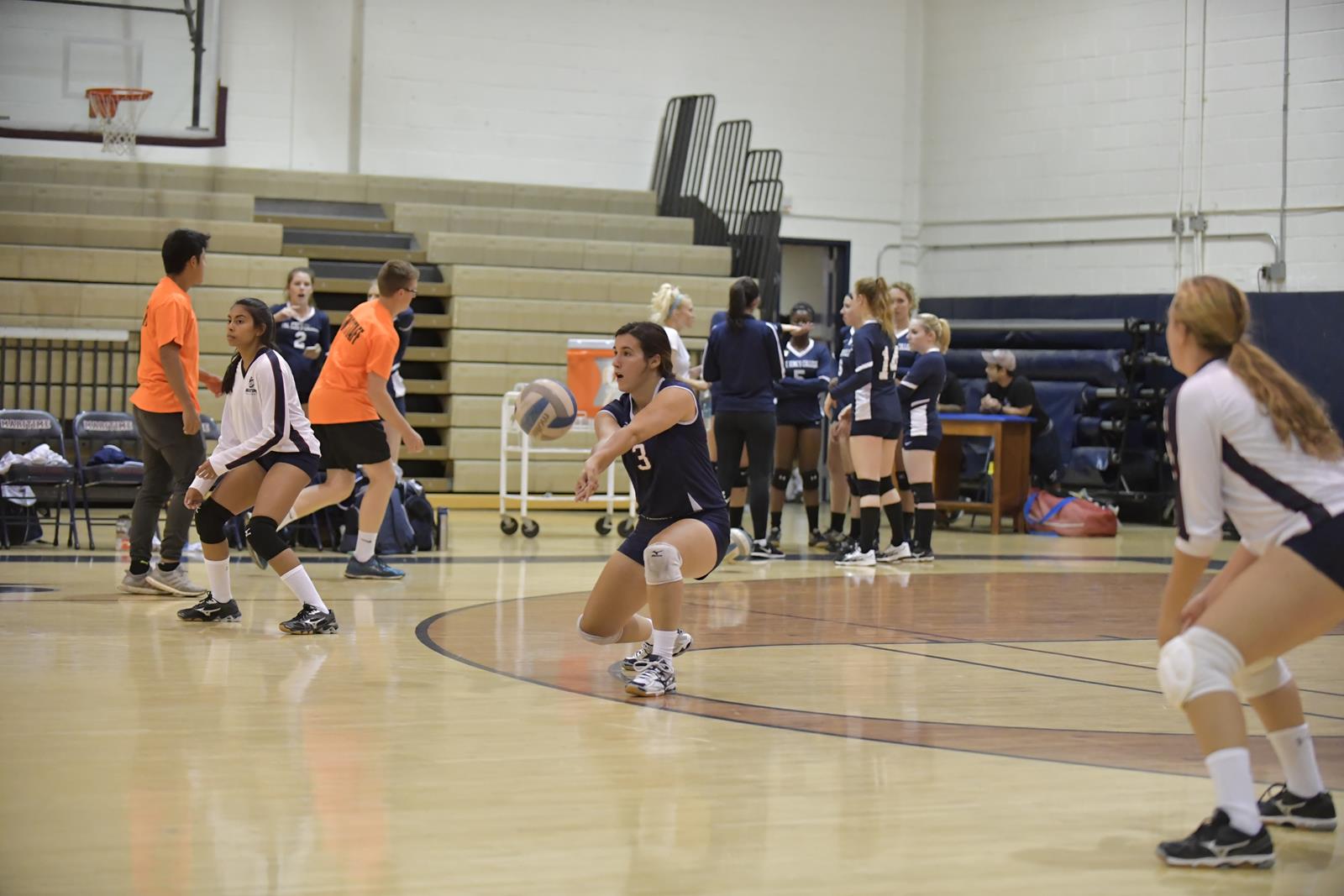 Rachel Rothstein - Women's Volleyball - Maritime College Athletics