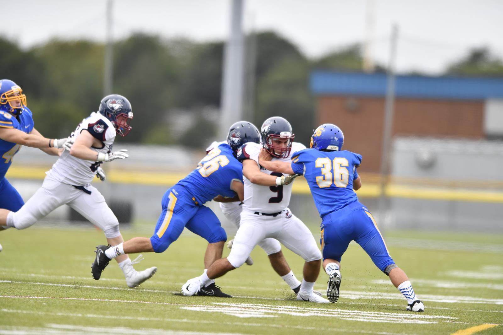 Sean Varela - Football - Maritime College Athletics