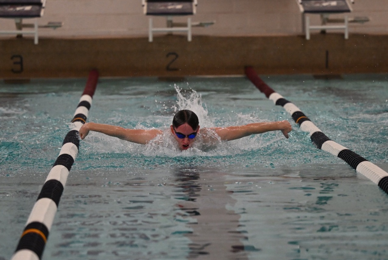 Stephen Roe - Men's Swimming & Diving - Maritime College Athletics