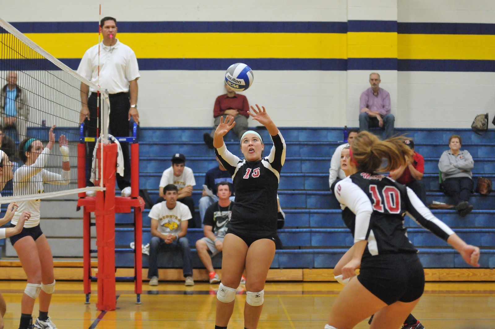 Cydney Long - 2014 - Women's Volleyball - Maryville University Athletics