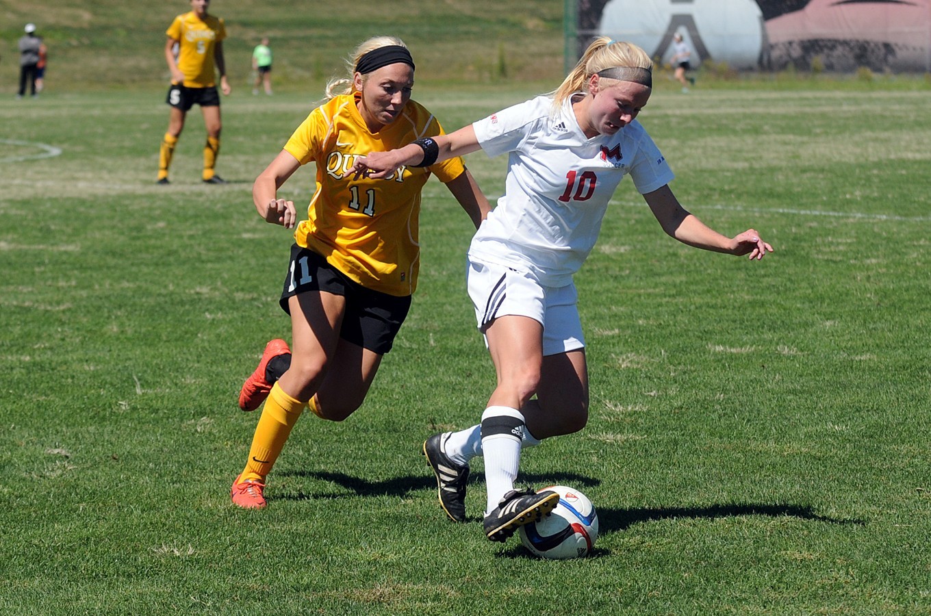Shannon Foley - 2015 - Women's Soccer - Maryville University Athletics