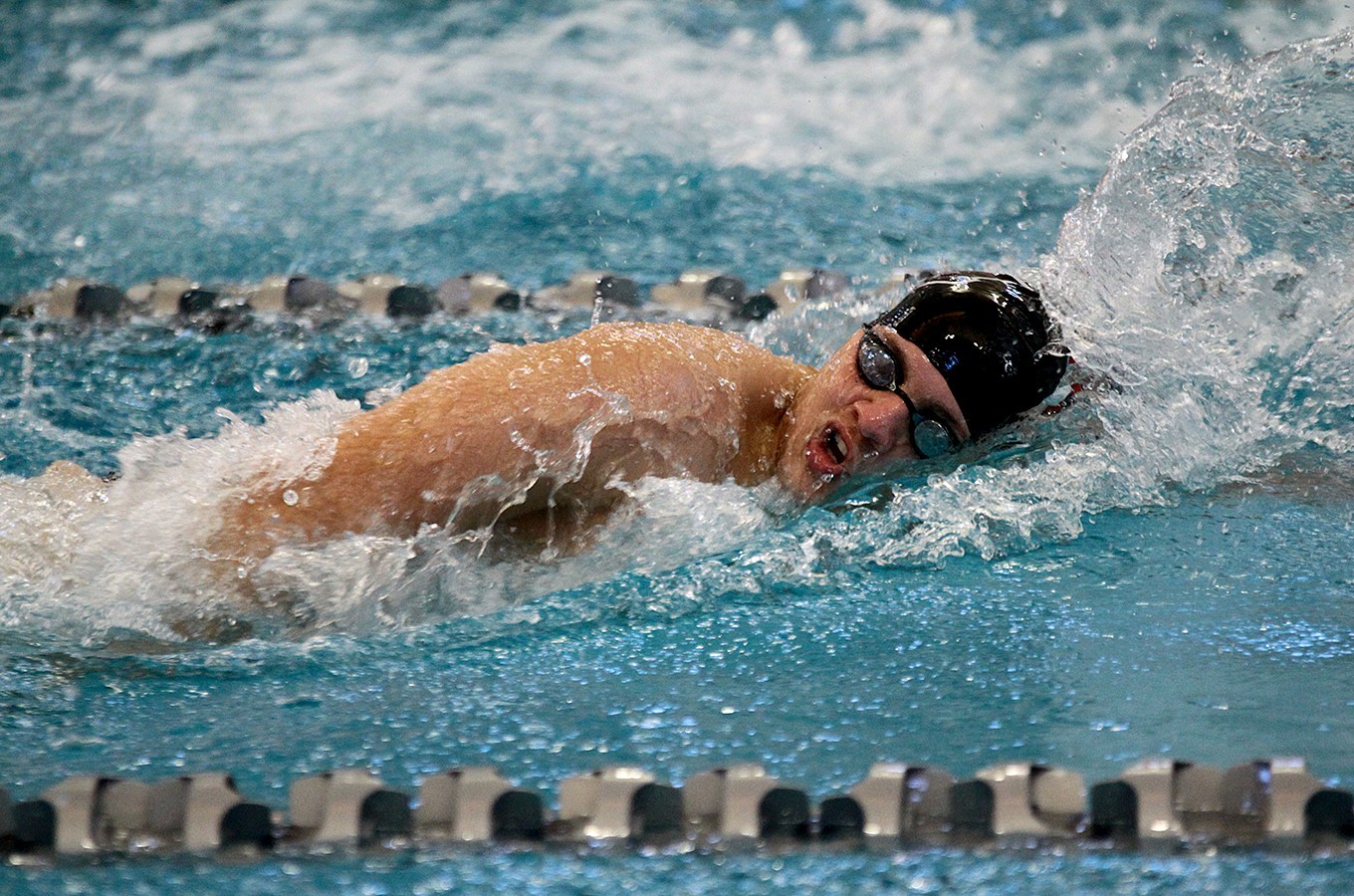Adam Rouse - 2016-17 - Men's Swimming and Diving - Maryville University ...