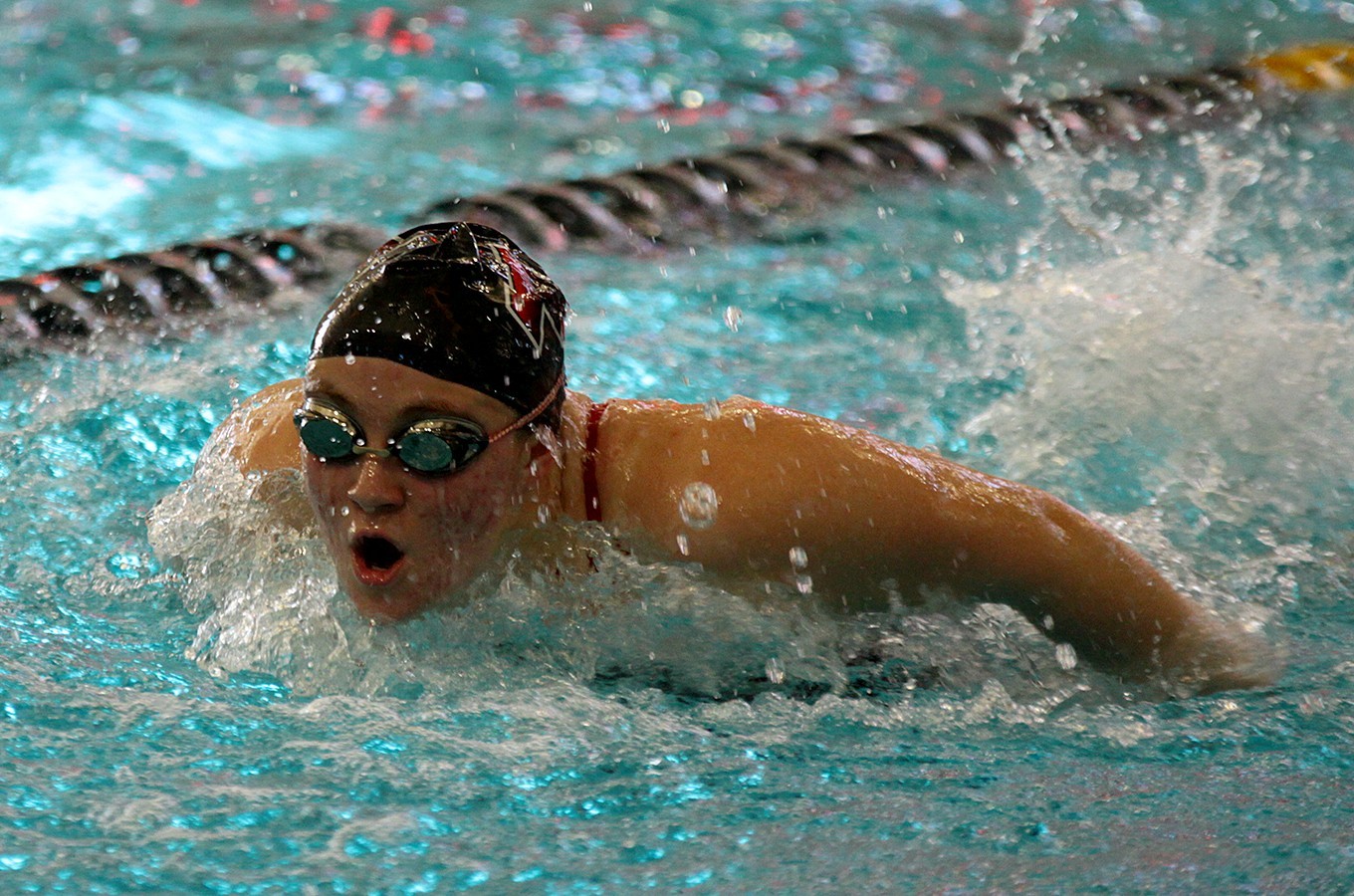 Angela Petrillo - 2018-19 - Women's Swimming and Diving - Maryville ...