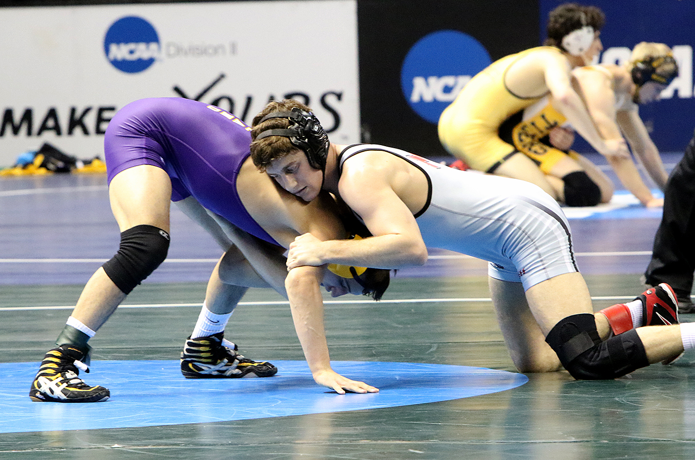 Nate Rodriguez - 2016-17 - Wrestling - Maryville University Athletics