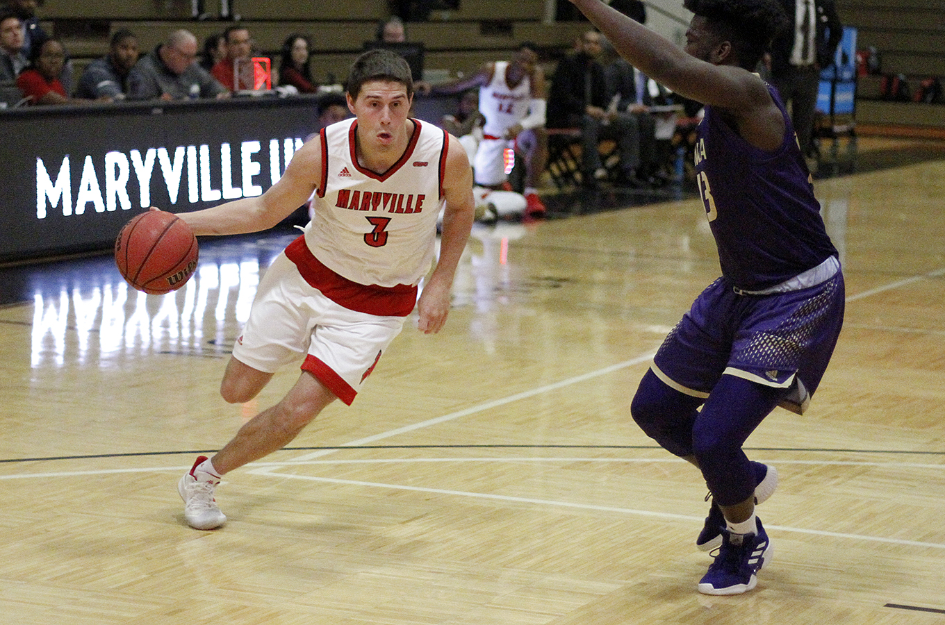Casey Teson - 2018-19 - Men's Basketball - Maryville University Athletics