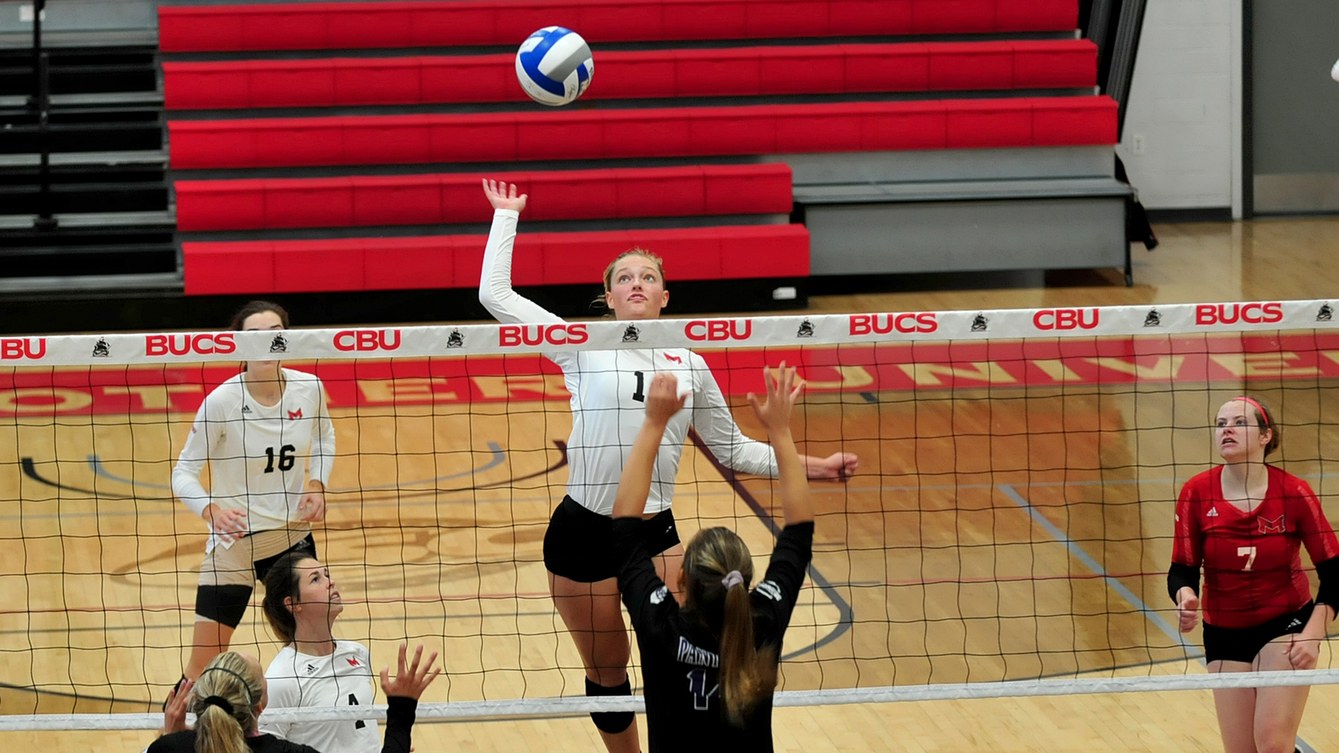 Avery Bell - 2021 - Women's Volleyball - Maryville University Athletics