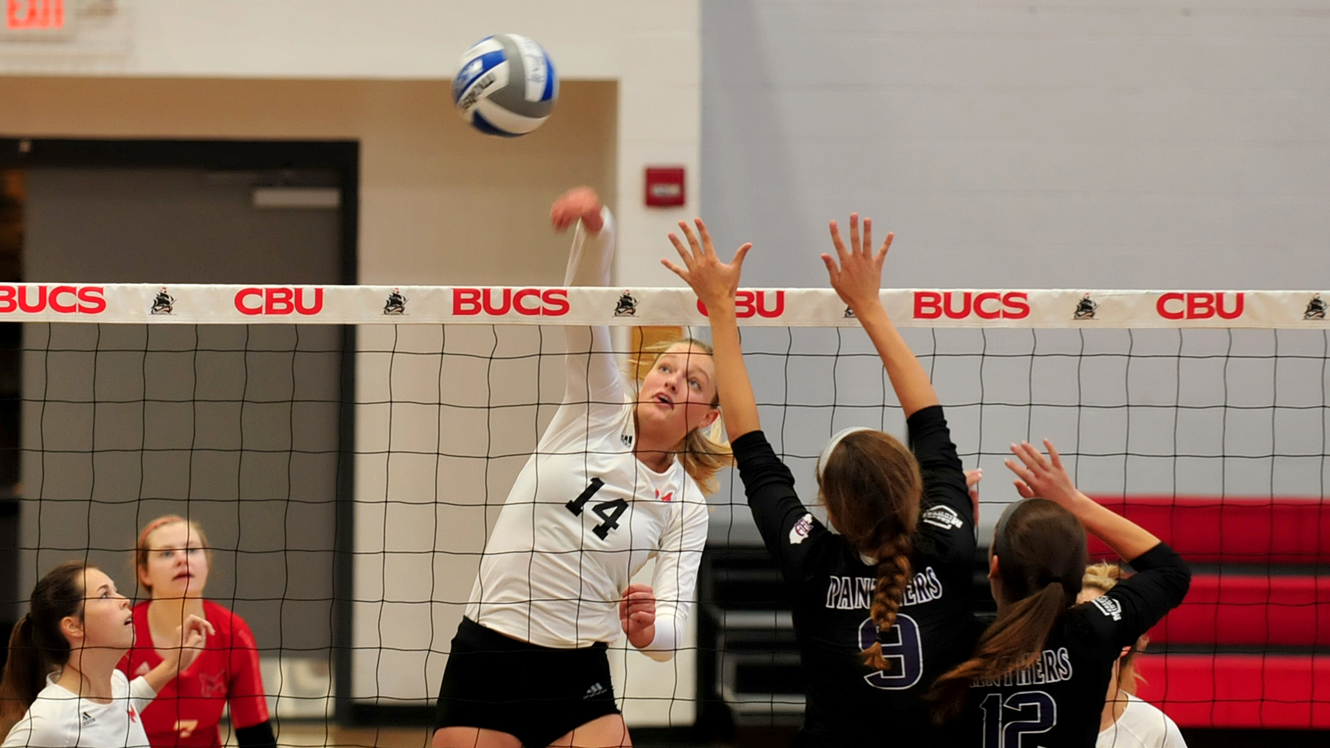 Avery Bell - 2021 - Women's Volleyball - Maryville University Athletics