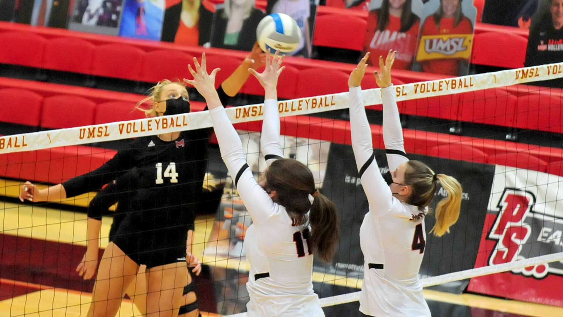 Avery Bell - 2021 - Women's Volleyball - Maryville University Athletics