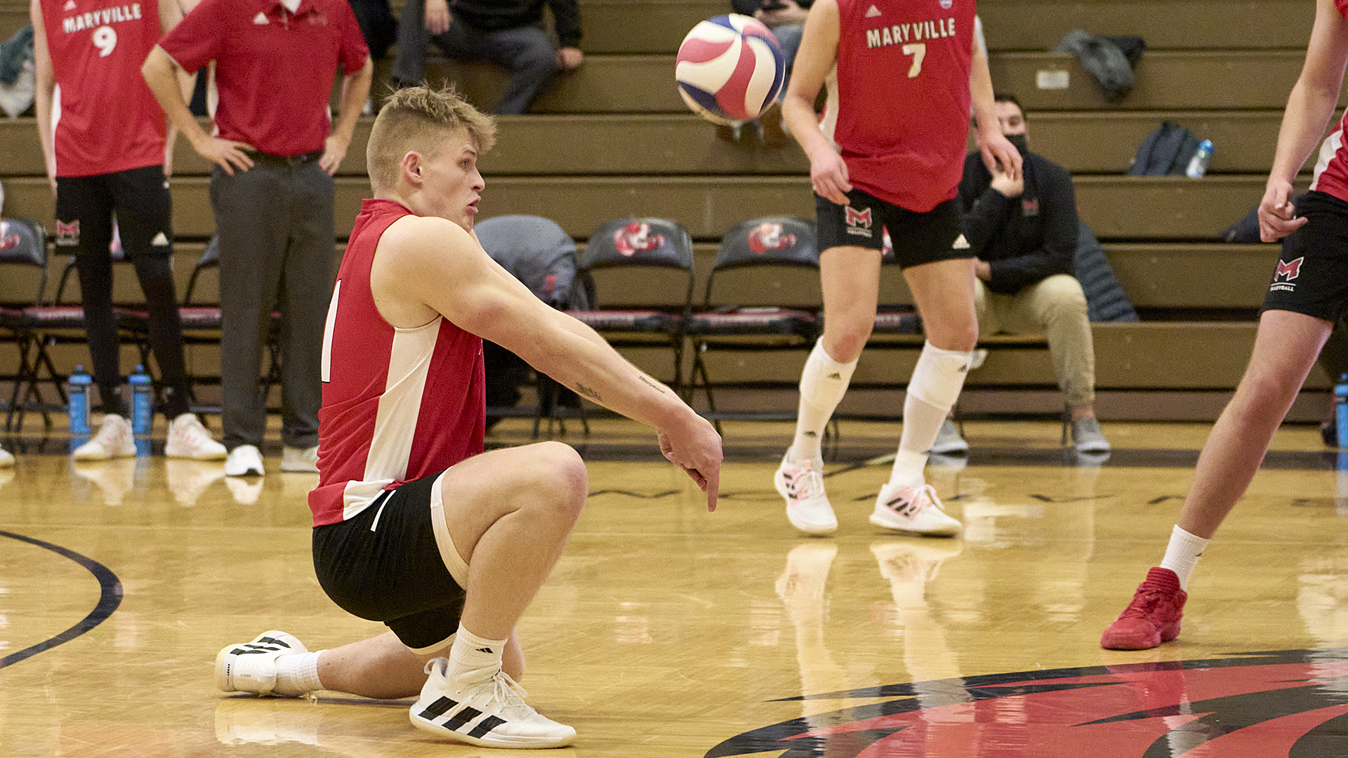 Luke Van Handel - 2024 - Men's Volleyball - Maryville University Athletics