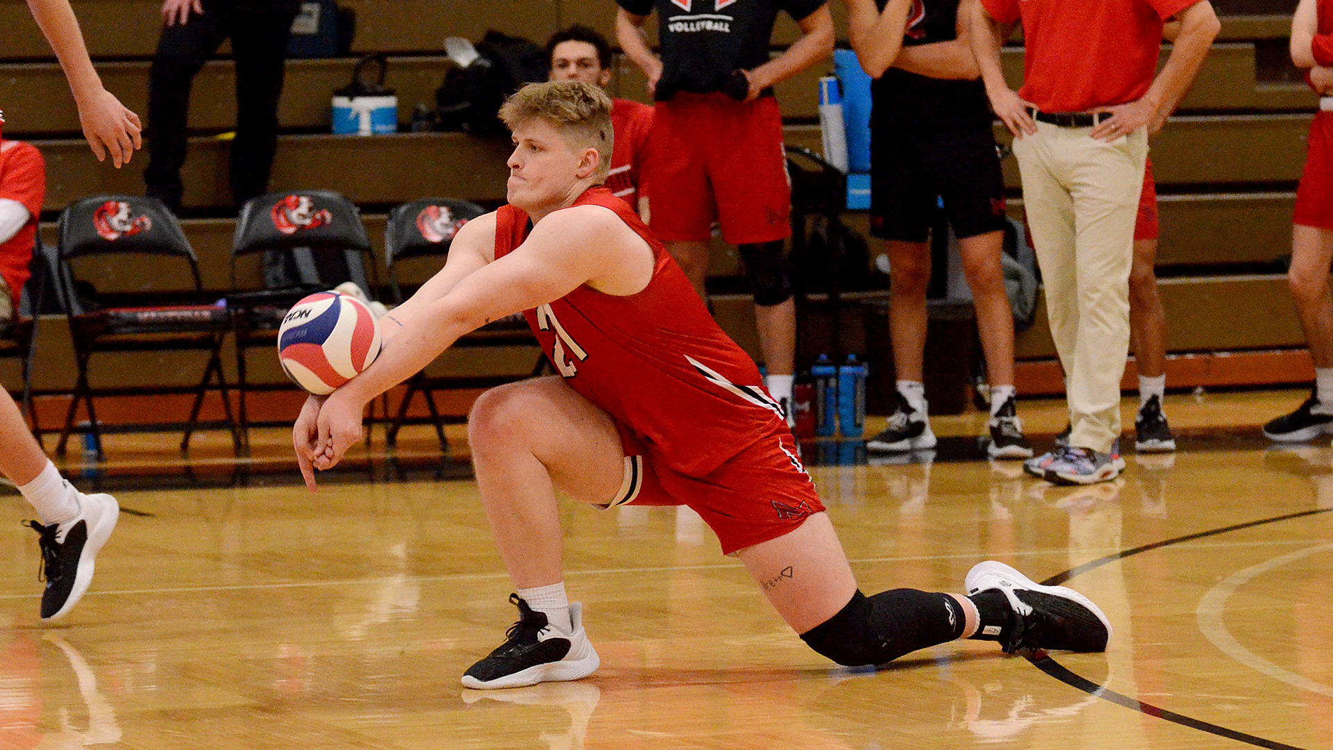 Luke Van Handel - 2024 - Men's Volleyball - Maryville University Athletics