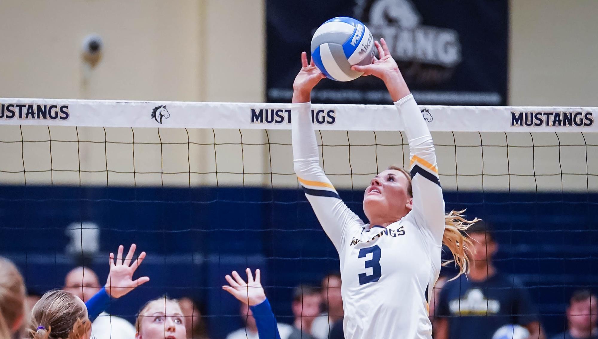 Master's volleyball makes it three in a row to start the year - The ...
