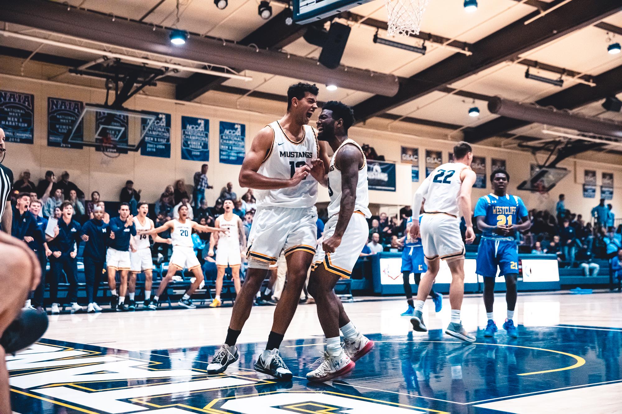 DJ Wilson - Men's Basketball - The Master's University Athletics