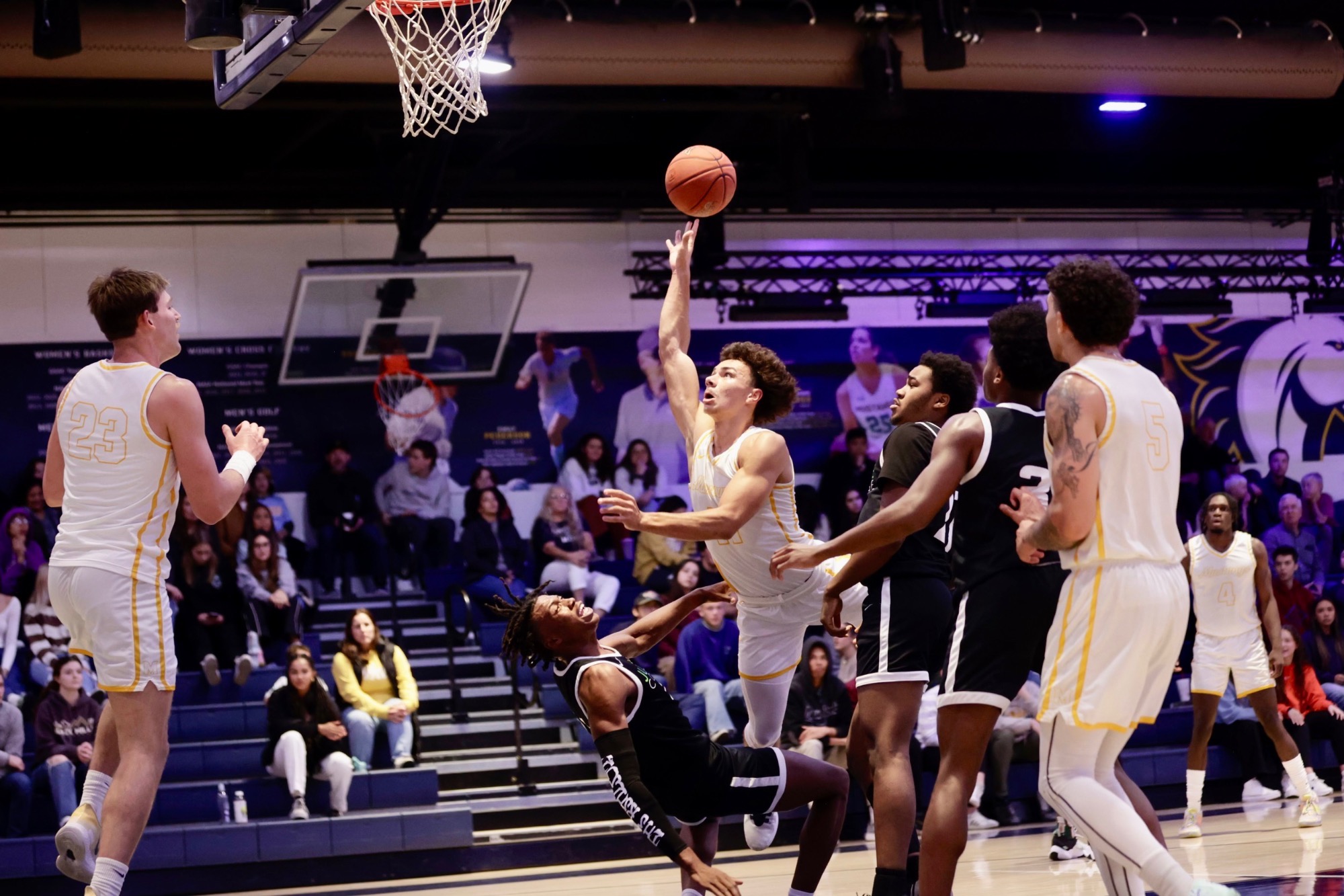 Kamrin Oriol - Men's Basketball - The Master's University Athletics