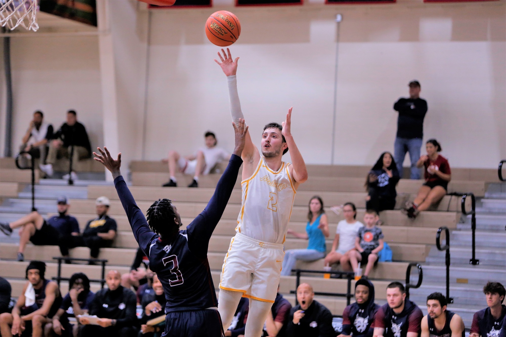 Mustangs Season Ends in Florida - The Master's University Athletics