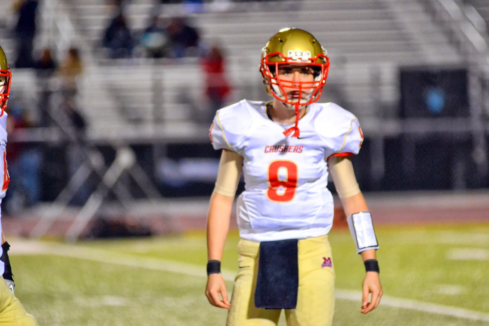 Blake Wade - 2013 - Football - Bishop McCort Catholic High School Athletics