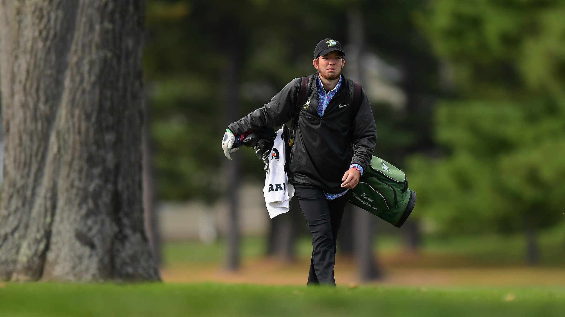 Ryan Niederpruem - 2023-24 - Men's Golf - McDaniel College