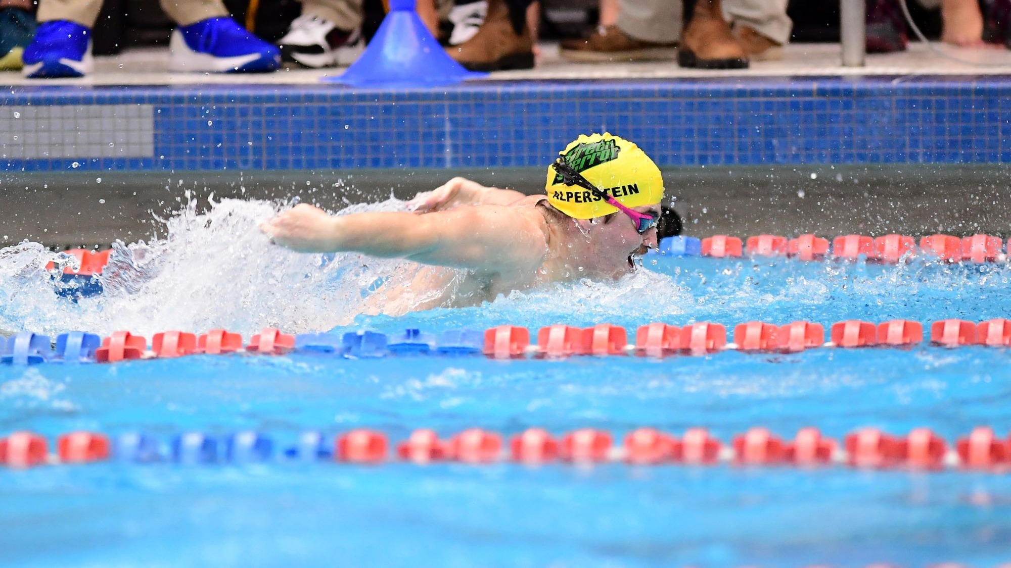 Jack Alperstein - 2023-24 - Men's Swimming - McDaniel College