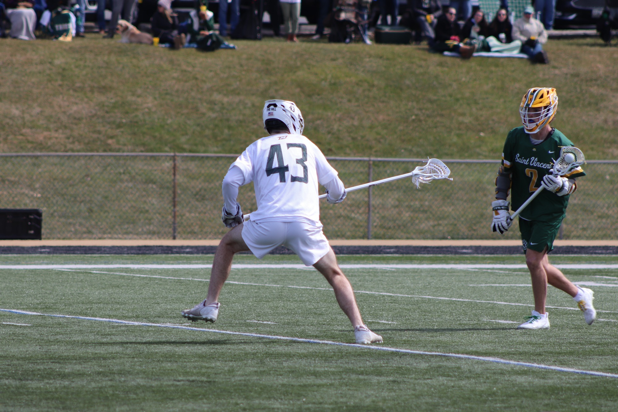 Aidan Boyle - 2023 - Men's Lacrosse - McDaniel College