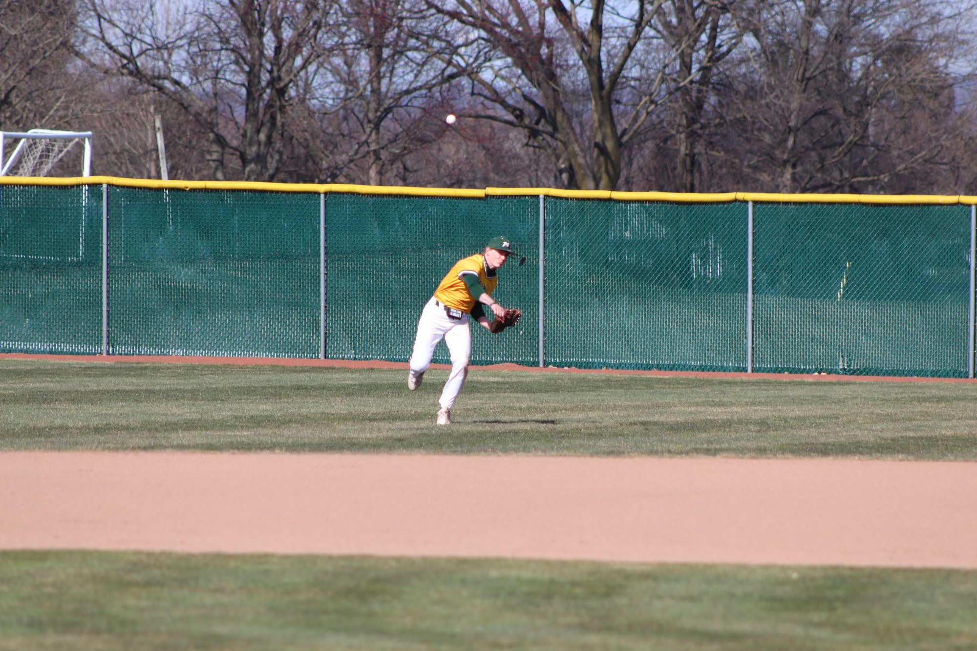 Santino DeFilippo - 2024 - Baseball - McDaniel College