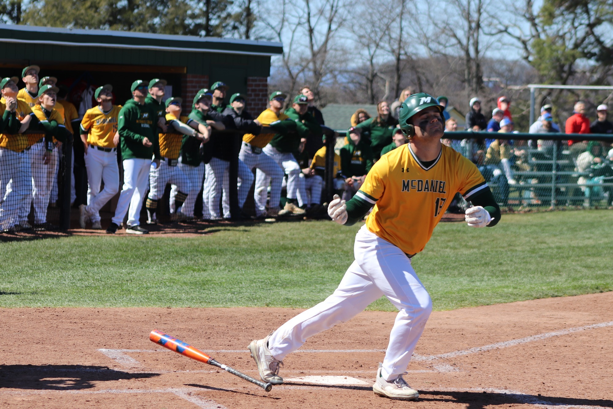 Jake Smith - 2024 - Baseball - McDaniel College