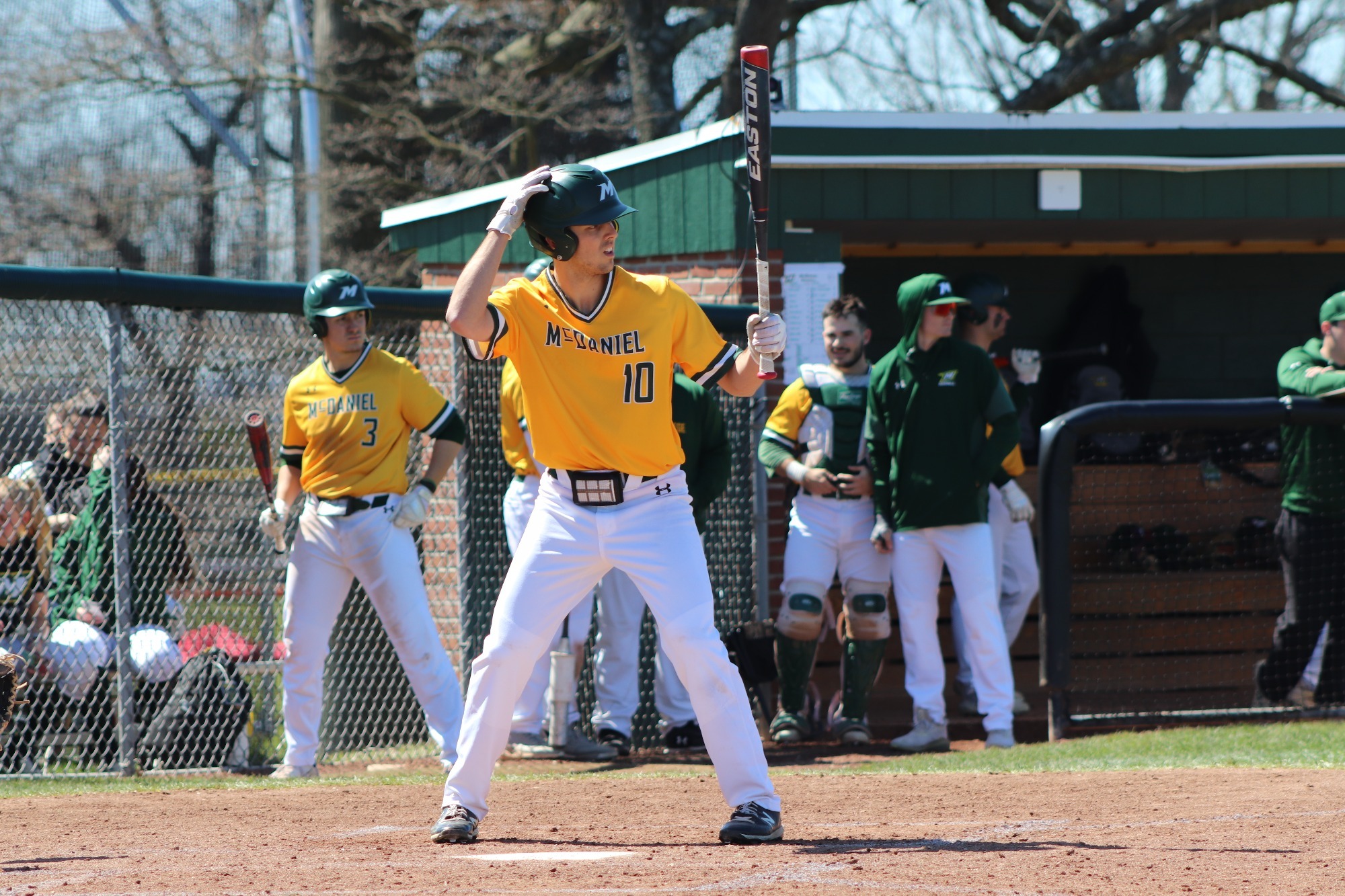 Santino DeFilippo - 2024 - Baseball - McDaniel College