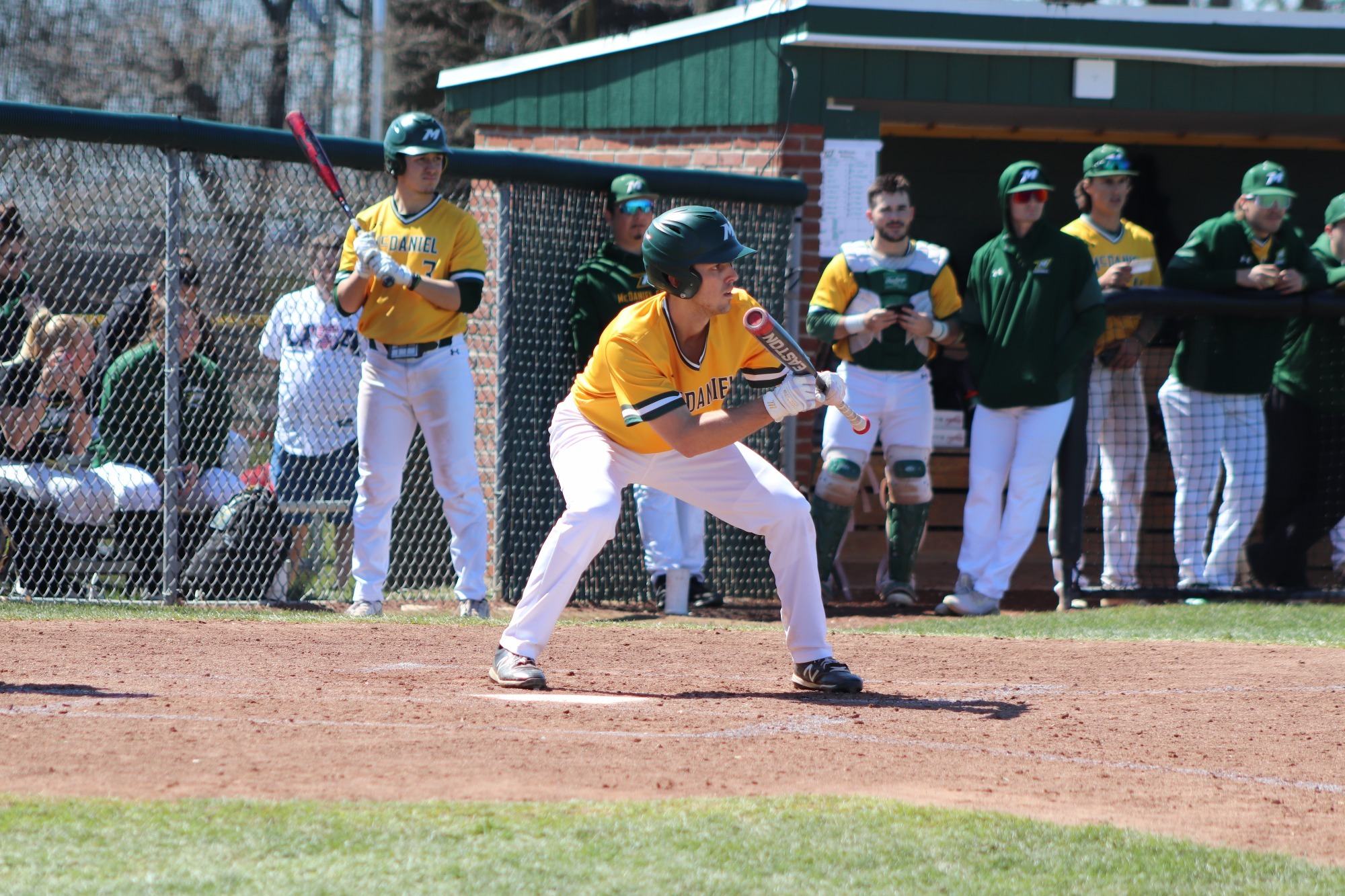 Santino DeFilippo - 2024 - Baseball - McDaniel College