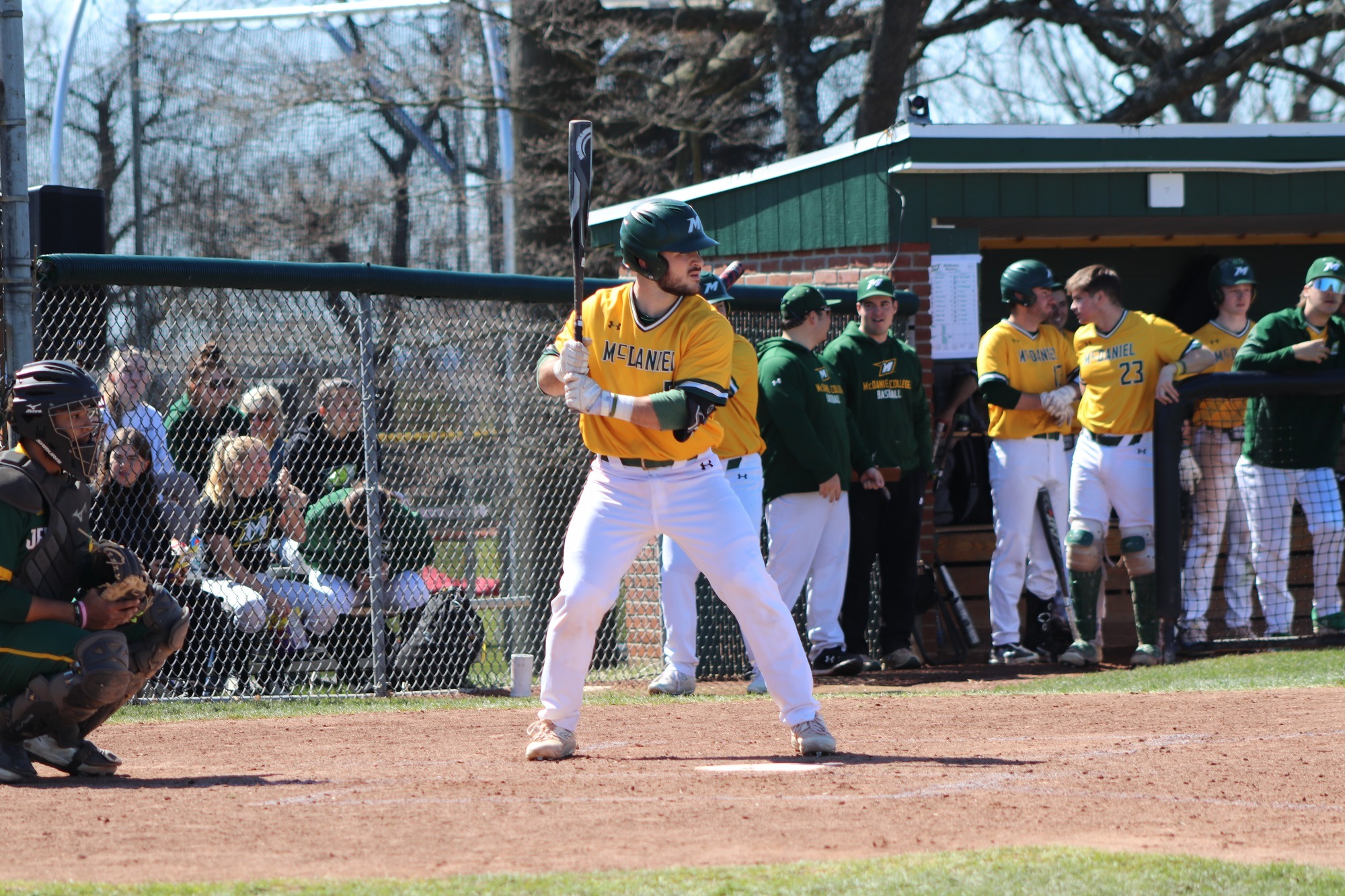 Austin Goudeaux - 2023 - Baseball - McDaniel College