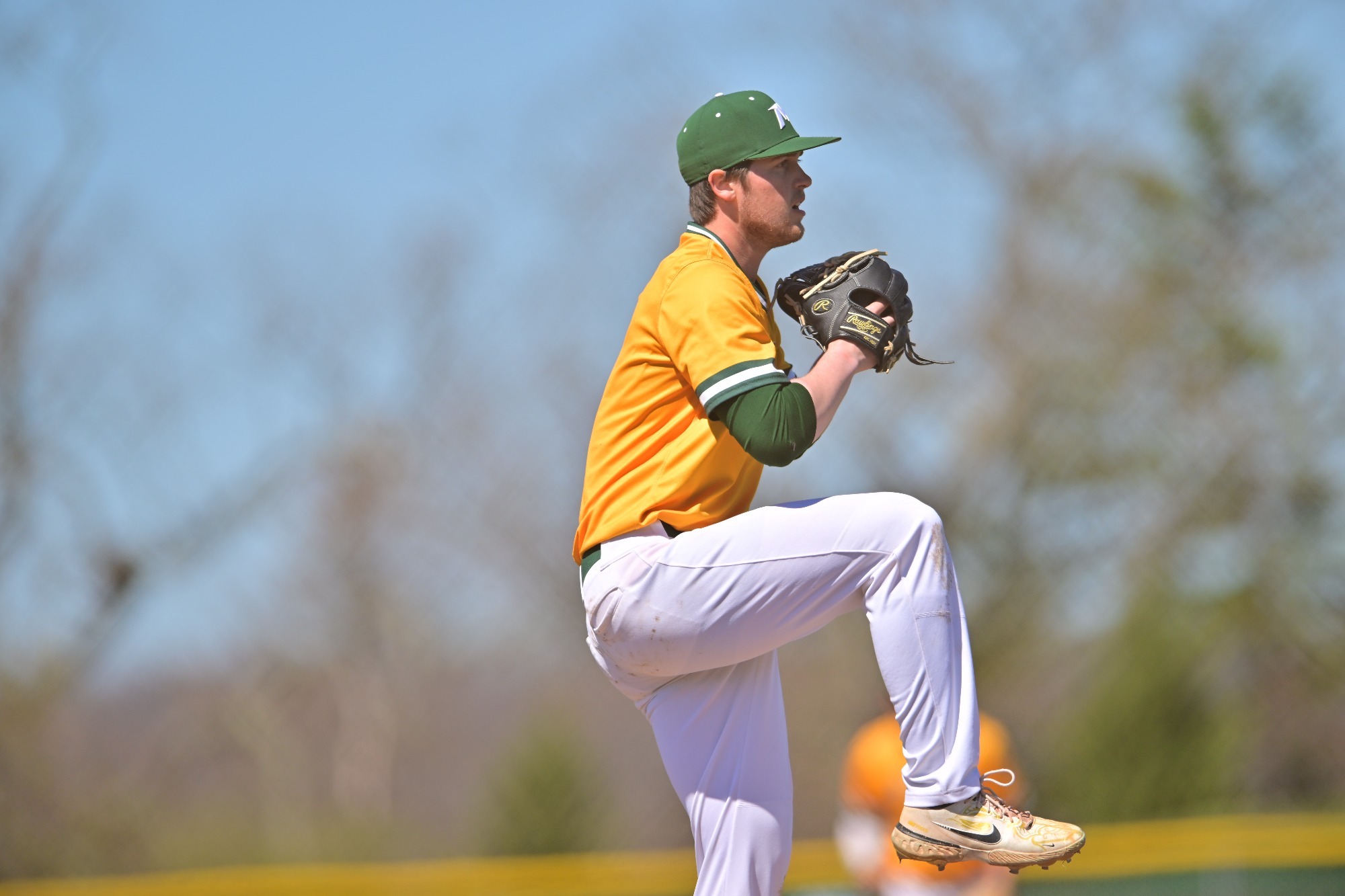 Ryan Martino - 2024 - Baseball - McDaniel College