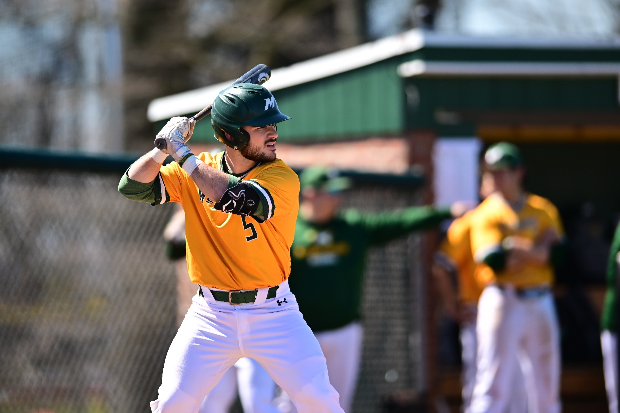 Austin Goudeaux - 2023 - Baseball - McDaniel College