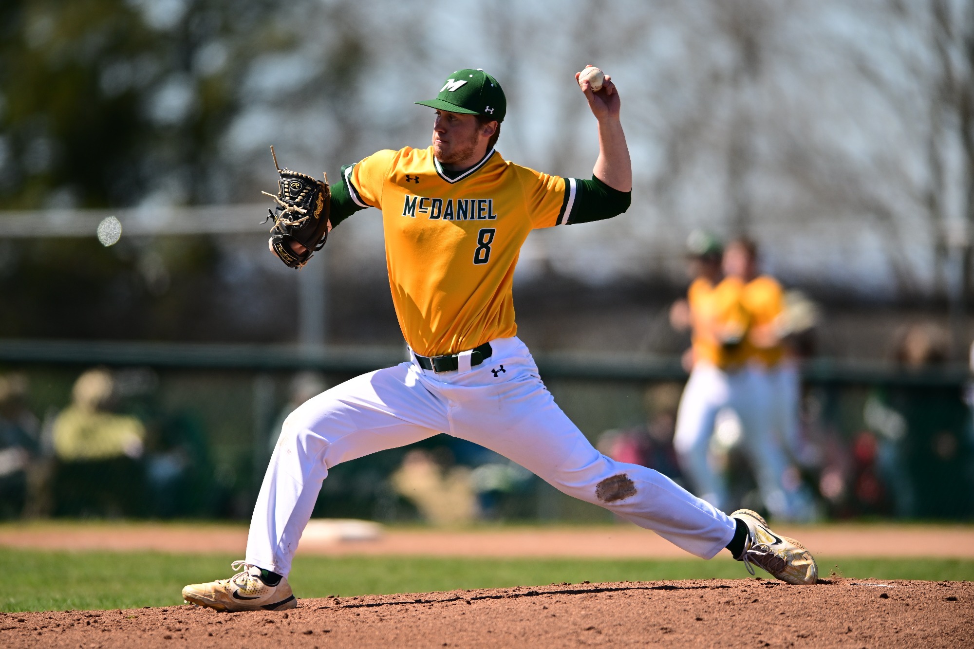 Ryan Martino - 2024 - Baseball - McDaniel College