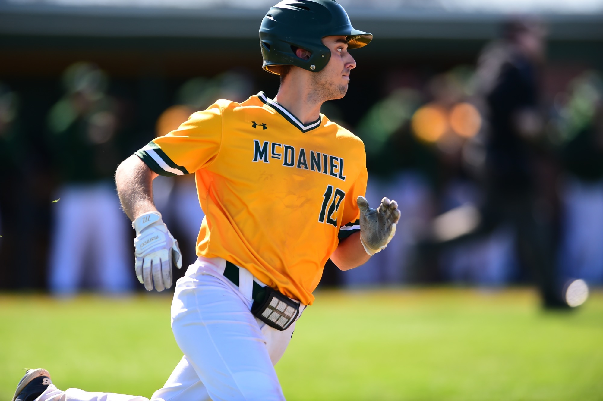 Santino DeFilippo - 2024 - Baseball - McDaniel College
