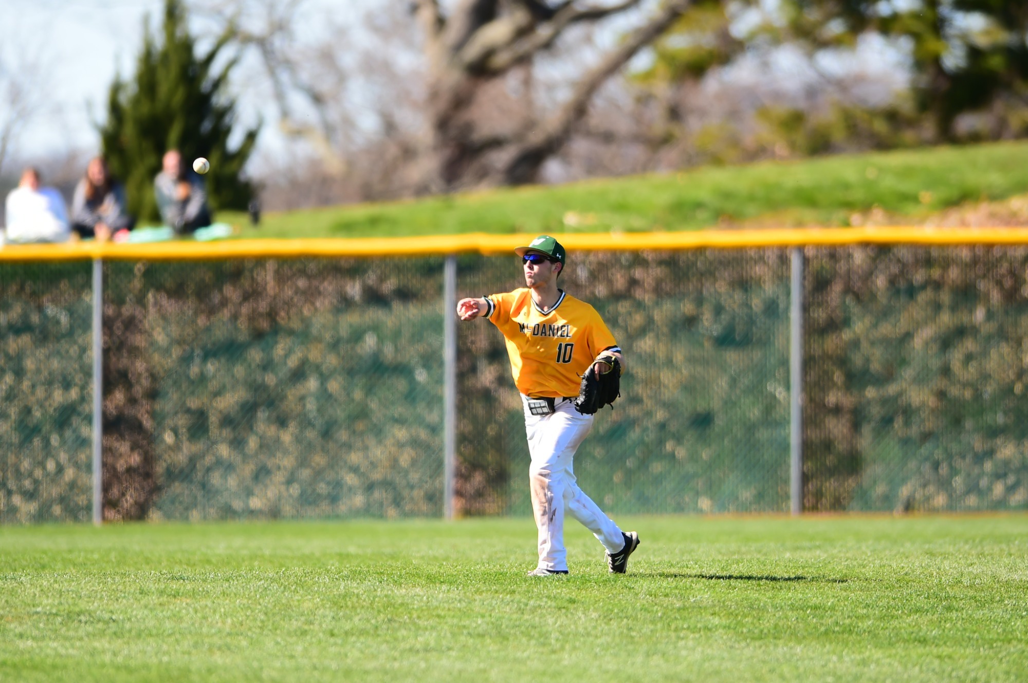 Santino DeFilippo - 2024 - Baseball - McDaniel College