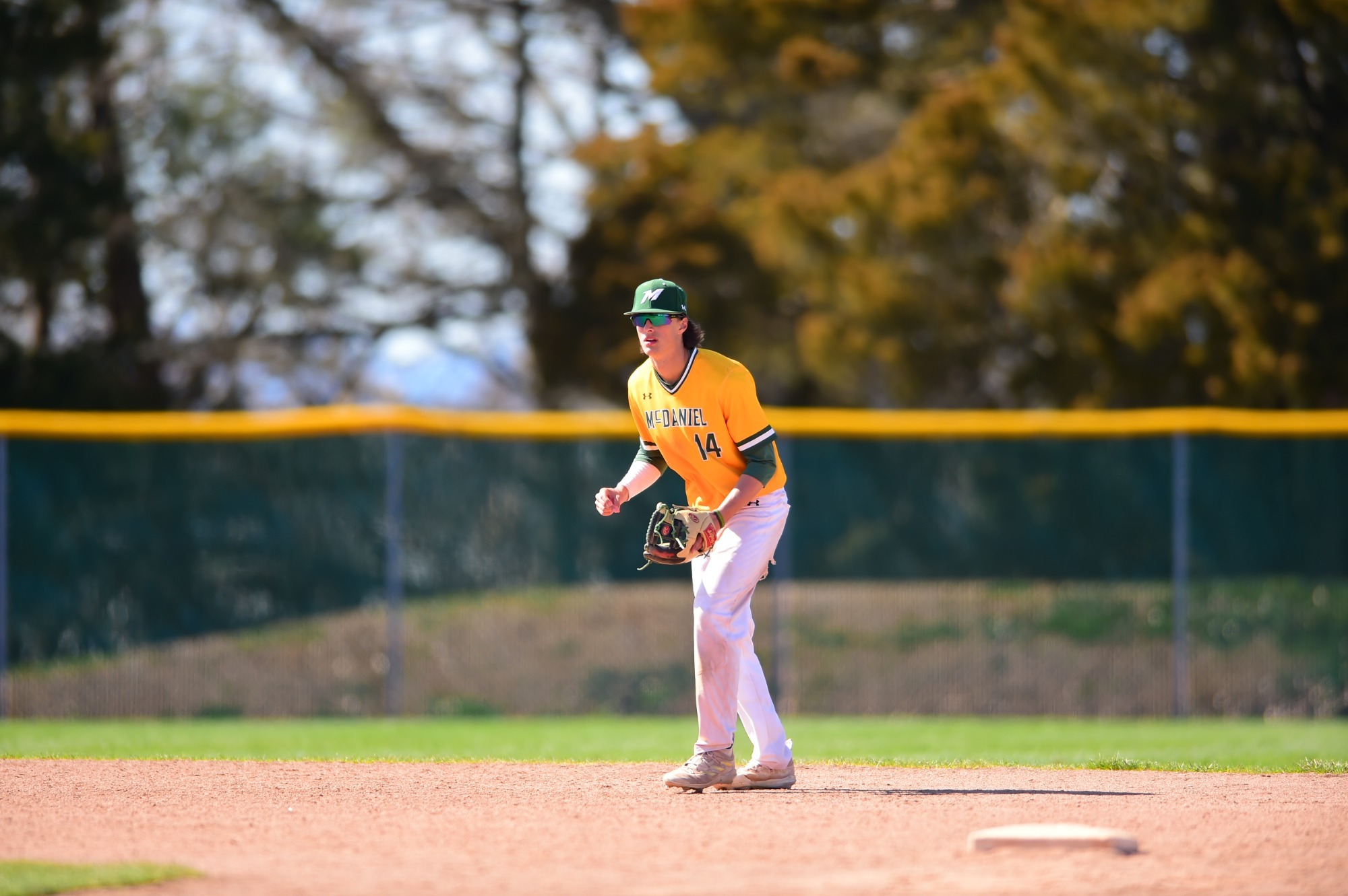 Tyler Yohn - 2024 - Baseball - McDaniel College