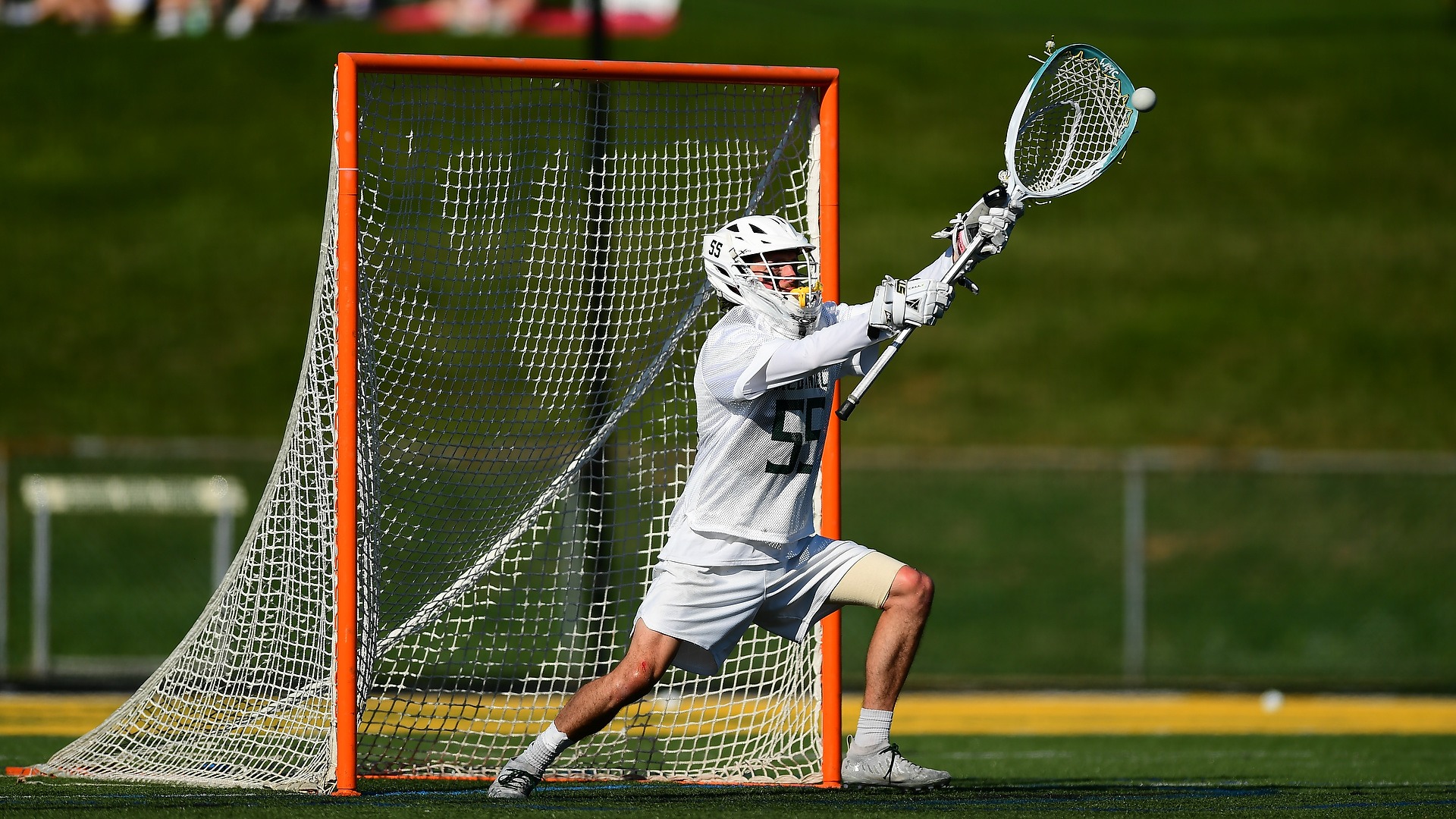 Brighton Lorber - 2024 - Men's Lacrosse - McDaniel College