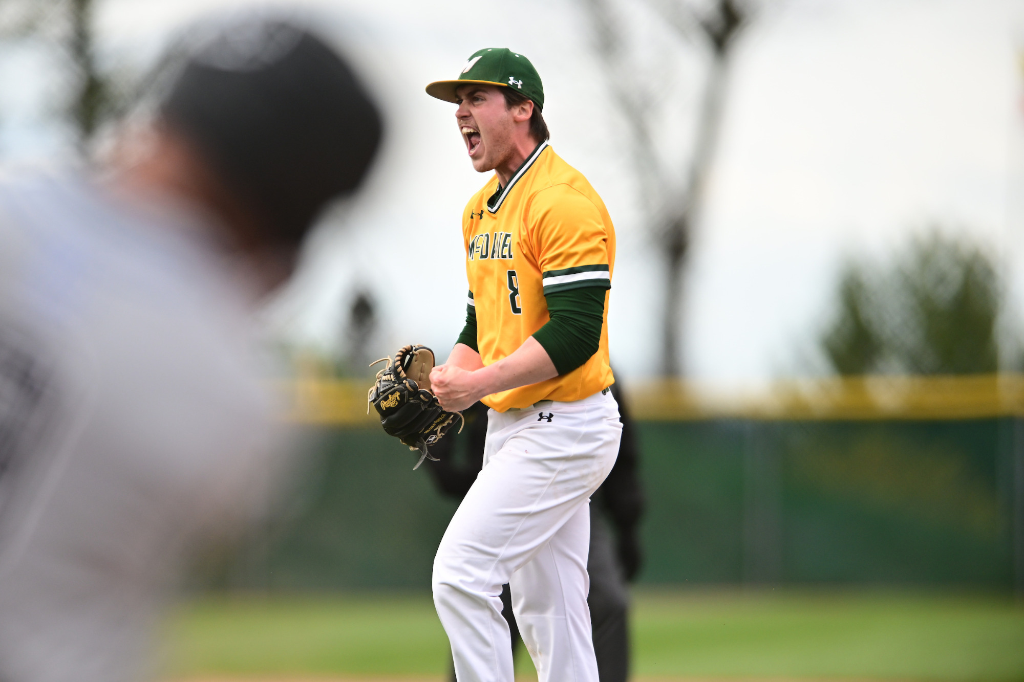 Ryan Martino - 2024 - Baseball - McDaniel College