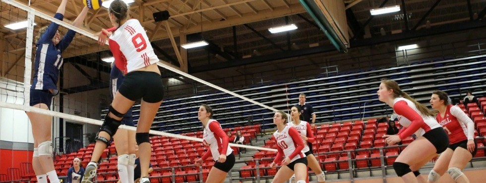 McGill's Lapointe named to Canadian national women's beach volleyball ...