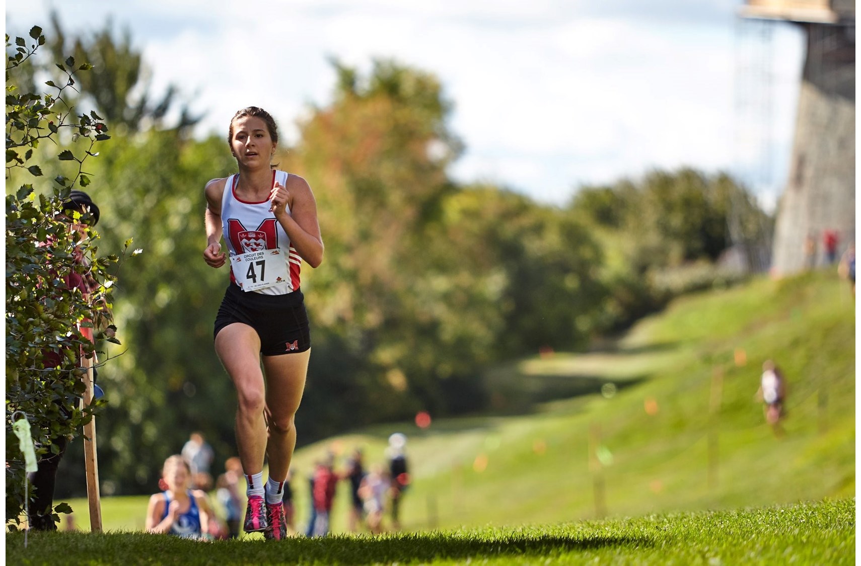 Veillette paces cross-country Martlets to finish second on Plains of ...