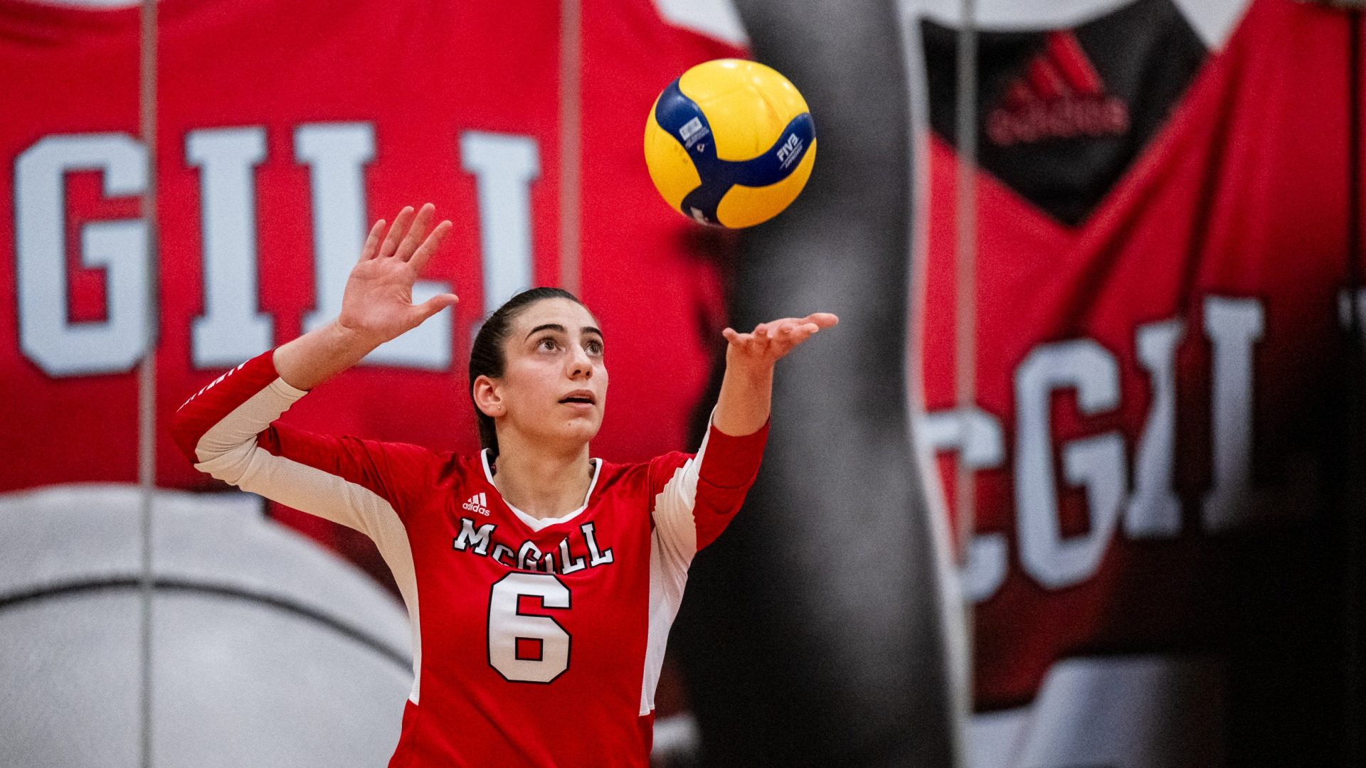 Iannotti paces volleyball Martlets to rally past Laval - McGill ...