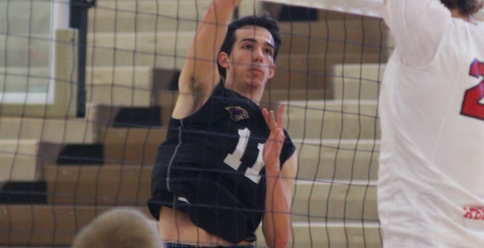 Michael Polizzi - 2017 - Men's Volleyball - McKendree University Athletics