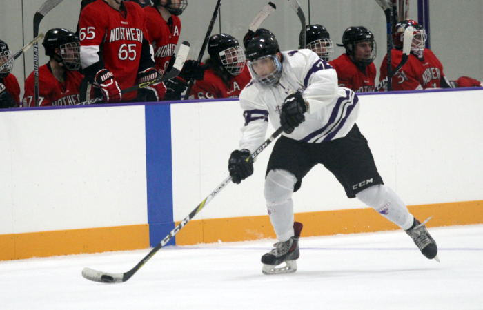 Levi Armstrong - 2017-18 - D1 Men's Hockey - McKendree University Athletics