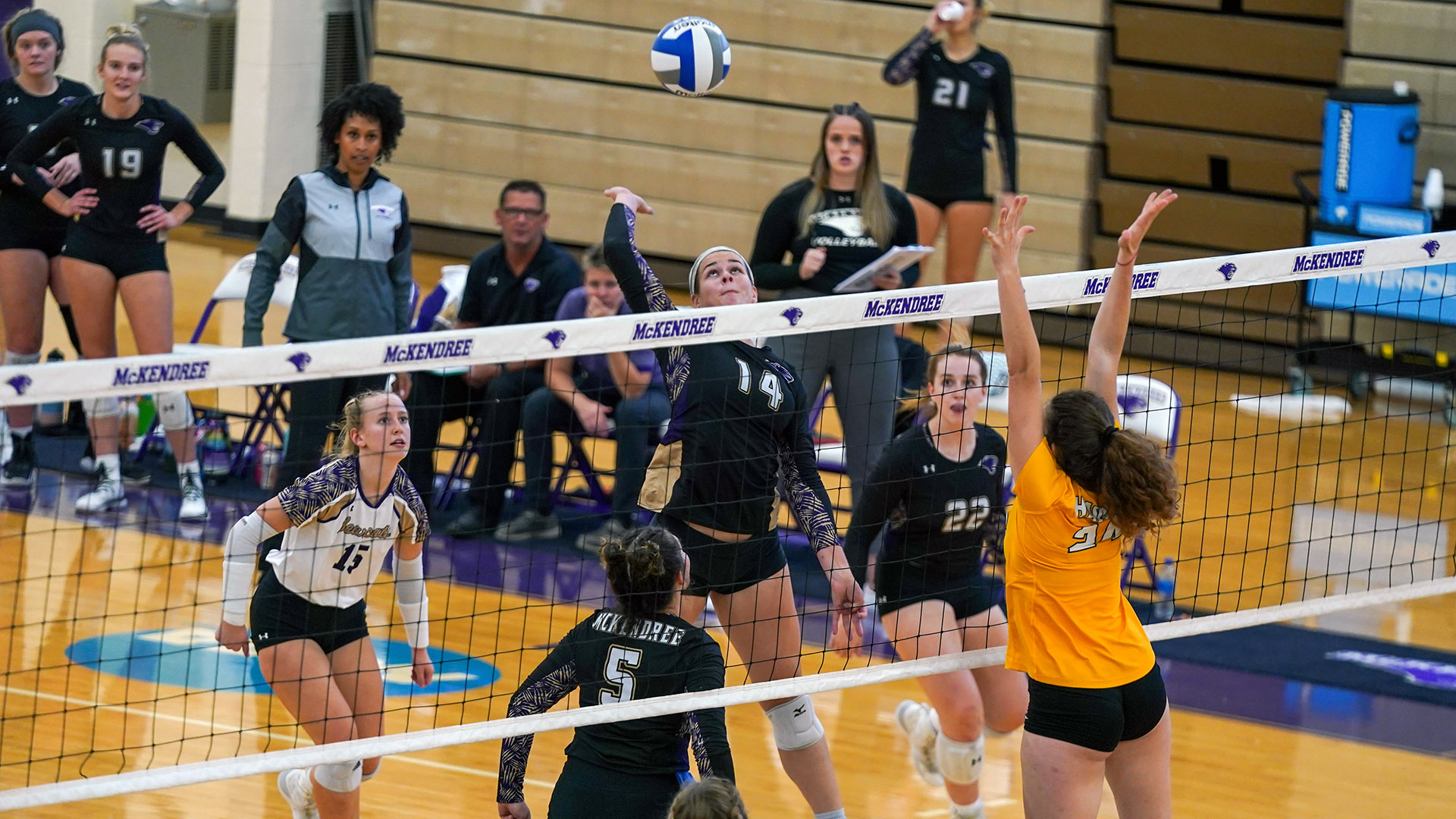 Volleyball Returns to GLVC Play With Three-Set Sweep at Drury, Plays Saturday at Missouri S&T ...
