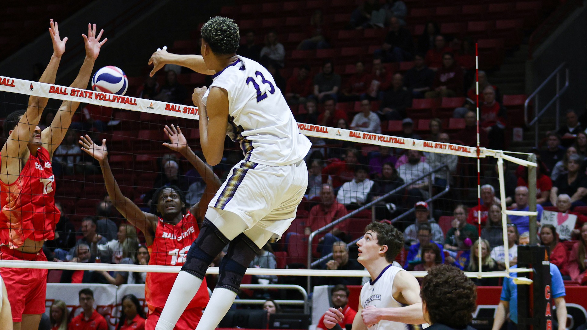 Nickie Sanlin Named Head Coach of USA Collegiate Men's Volleyball ...