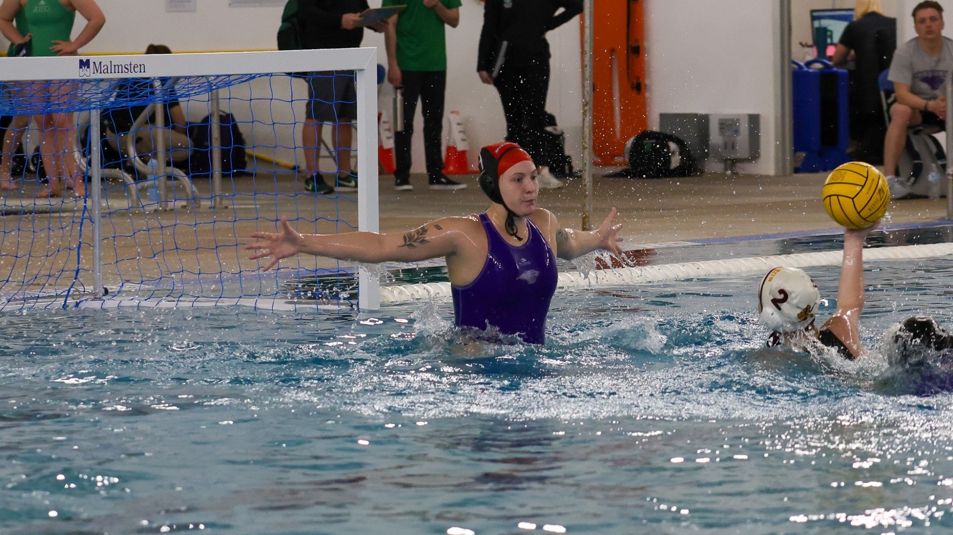 Women's Water Polo Competes in WWPA Erie Classic - McKendree University ...