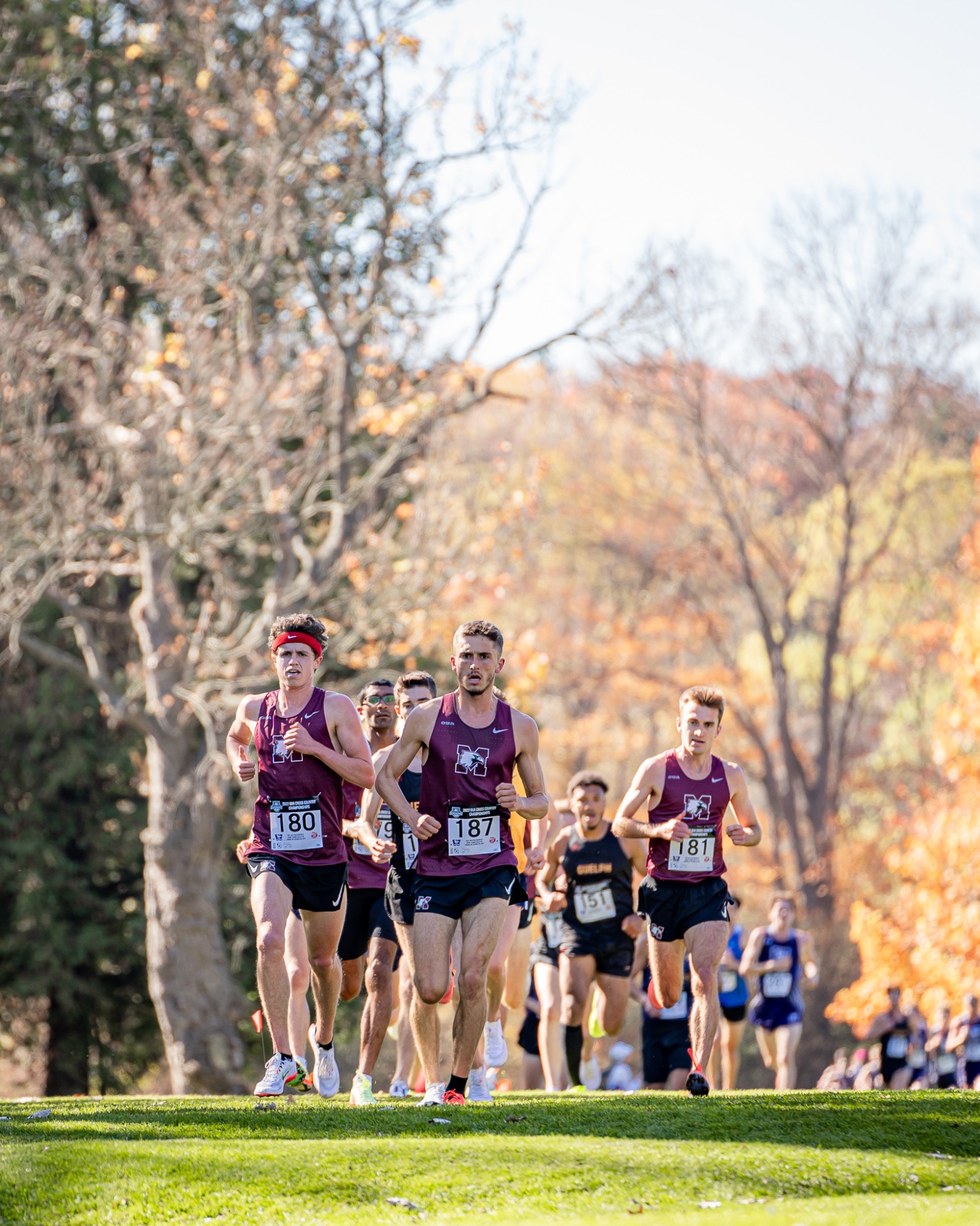 Max Turek - Cross Country/Distance Track - McMaster University Athletics