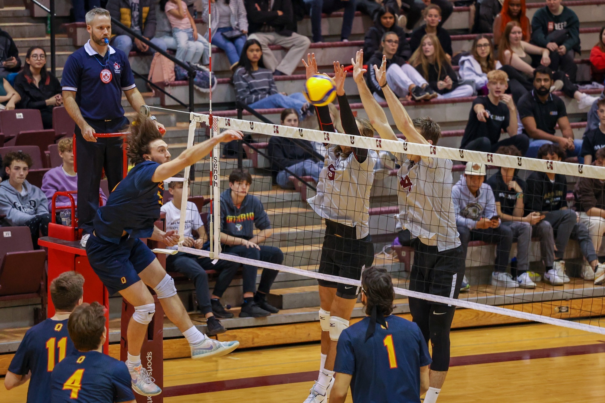 Uh Men's Volleyball Tickets 2023 at Peggy Rios blog