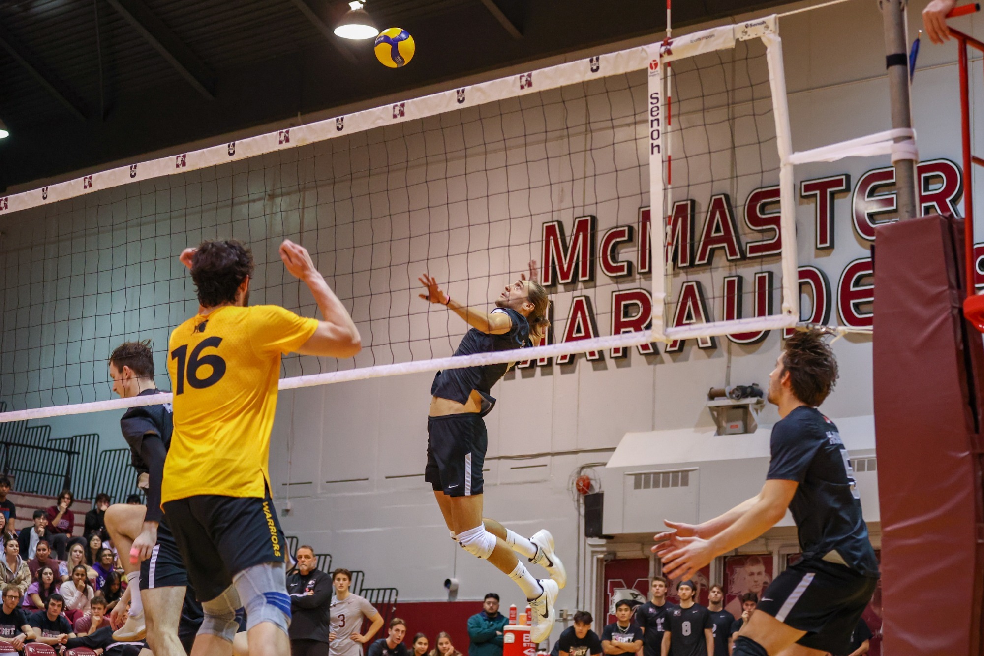Marauders Sweep at Home Against Warriors - McMaster University Athletics