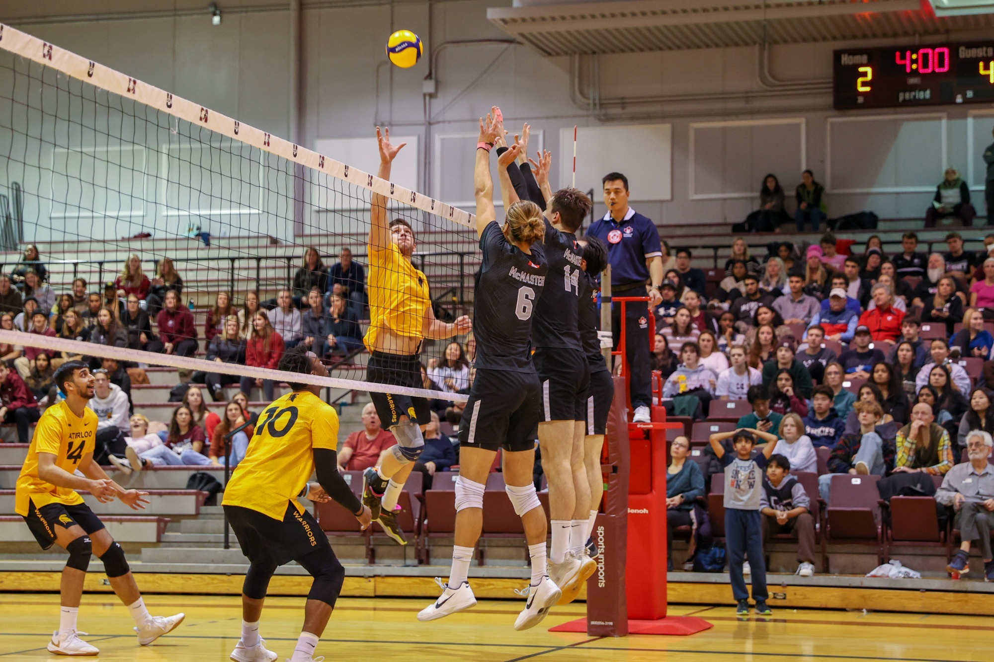 Marauders men's volleyball takes on Paladins in final home contests of ...